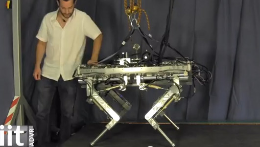 The 8 crazy animal robots you have to see to believe