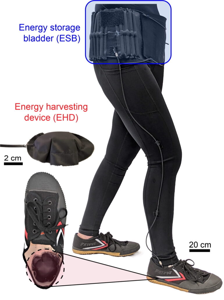 Wearable pneumatic actuators that assist human motion derive air from ...